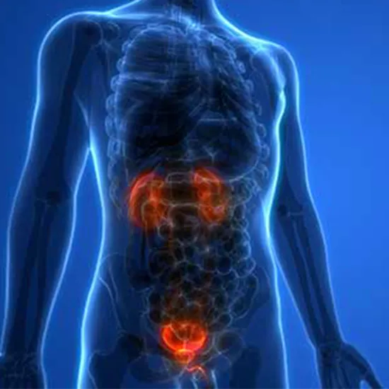 Urodynamic Study Test Price In Delhi Testing Cost Near Me, India ...