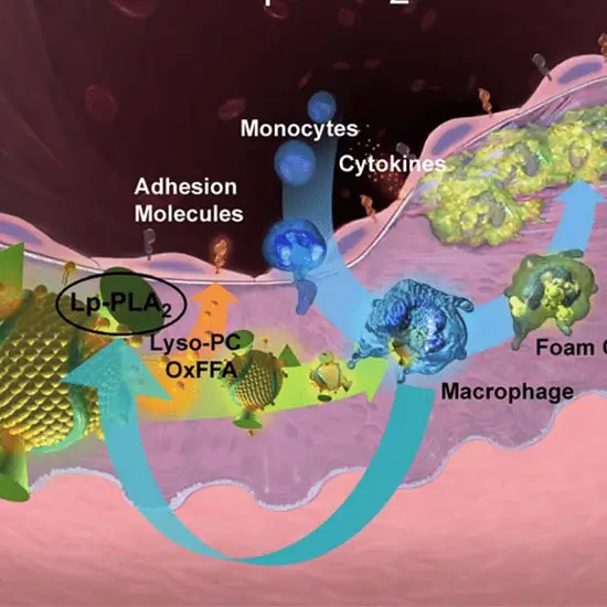 Liver Panel-1 | Test Price In Delhi | Cost Near Me, India | Ganesh ...