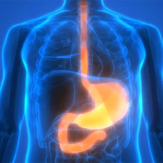Barium Swallow Test Procedure in Breif - Ganesh Diganostic