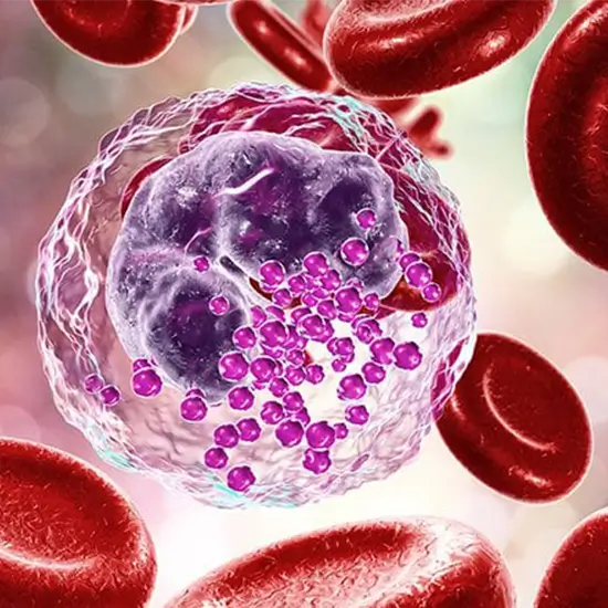 Absolute Basophil Count Test Near You in Delhi | Book Test at Low Price