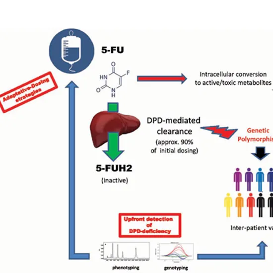 DPD Gene Mutations (5-FU Toxicity) Detection Test Price in Delhi | GDIC