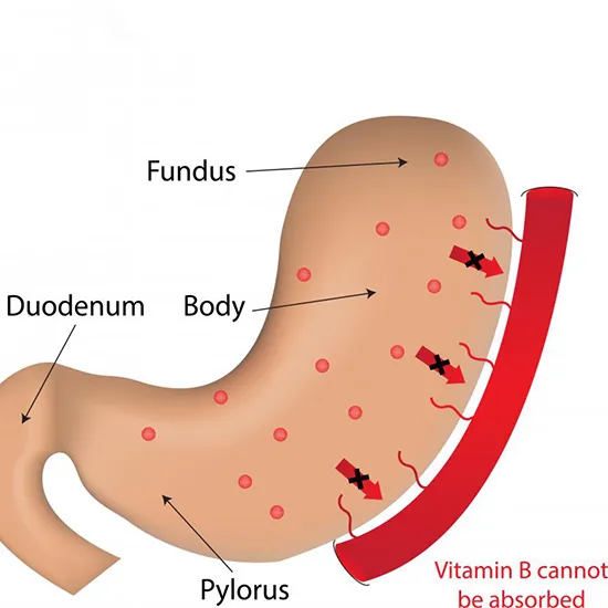 Types of Biochemistry Test | List Of Biochemistry Test, Price In India ...