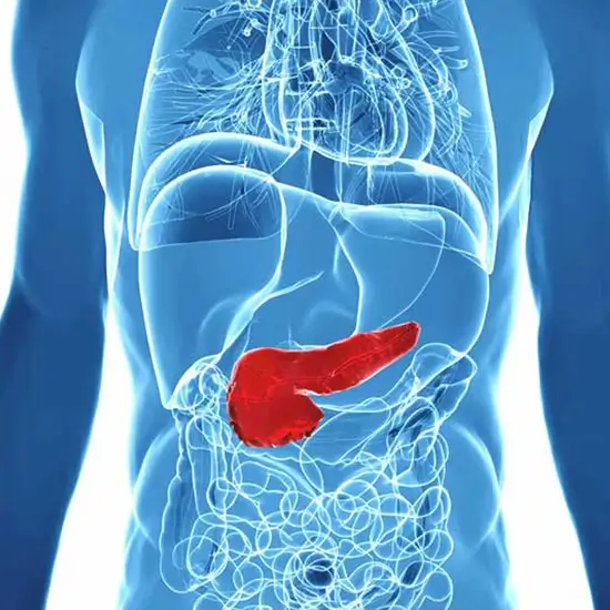 Pancreatic (Acute) Profile | Test Price In Delhi | Cost Near Me, India ...