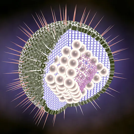 Human Herpesvirus-7(HHV-7) Quantitative PCR | Test Price In Delhi ...