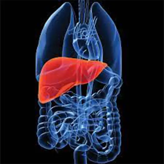 Types of Biochemistry Test | List Of Biochemistry Test, Price In India ...