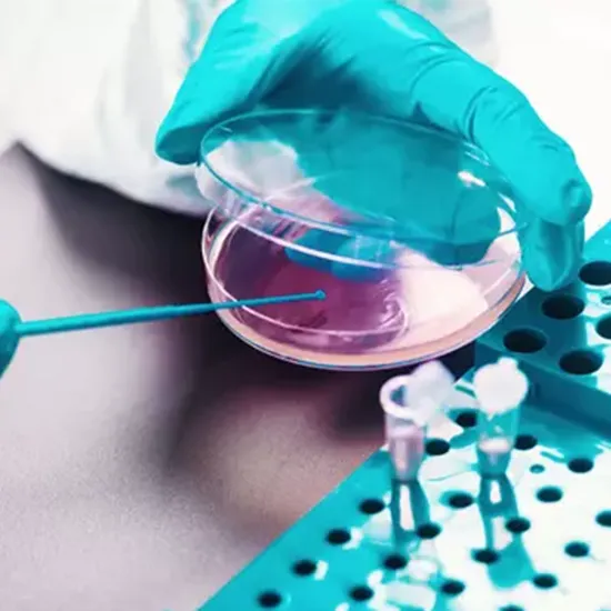 Culture Aerobic Miscellaneous With Gram Stain Test In Delhi, India ...