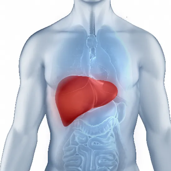 Enhanced Liver Fibrosis (ELF) Panel | Test at Affordable Price | Ganesh ...