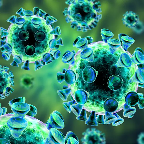 Epstein-Barr Virus, Qualitative PCR | Test at Affordable Price