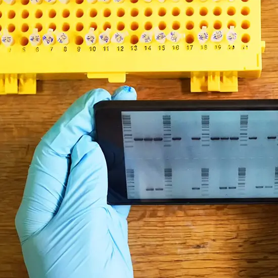 Genetic Mapping for Cardiovascular Disorder | Test at Affordable Price ...