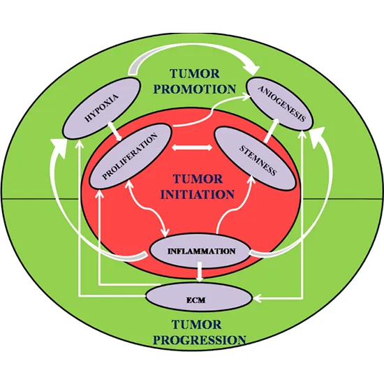 Glioma Prognostic Panel Test Near You in Delhi | Book Test at Low Price