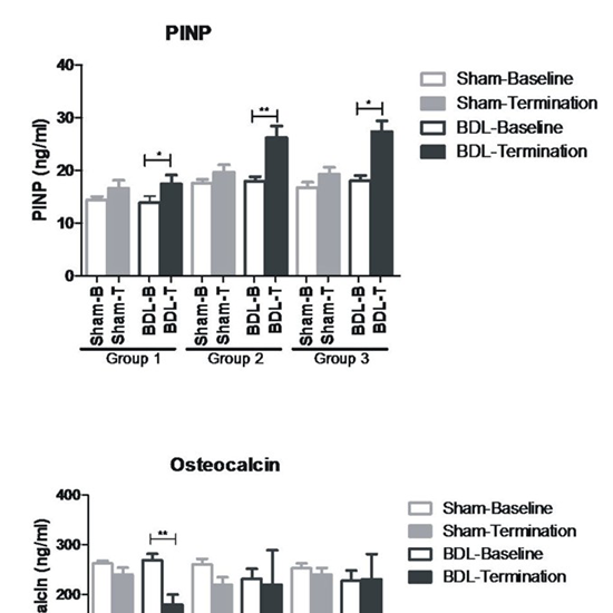Orthopedics | Types Of Orthopedics Test, Price | Cost, List Delhi ...