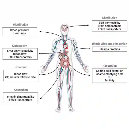 Tricyclic Antidepressants Screen, Serum | Cost Near Me, India | Ganesh ...