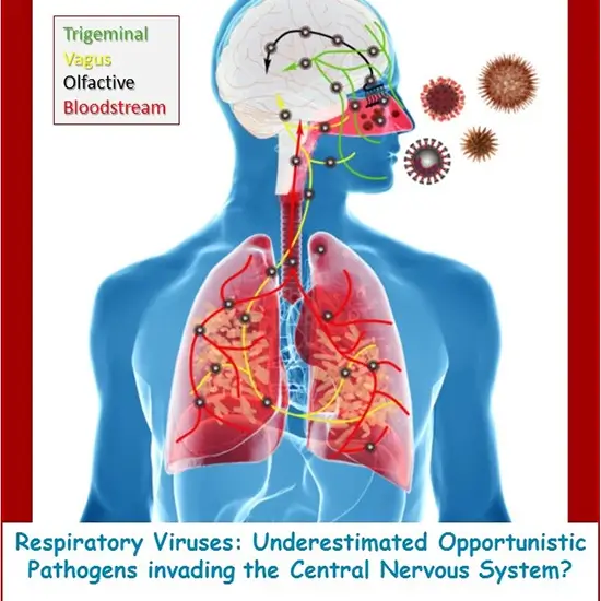 Respiratory Panel 9 Cost in Delhi Test Price Near Me, India | GDIC