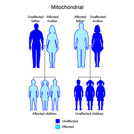 Lebers Hereditary Optic Neuropathy Mitochondrial Mutation Detection ...