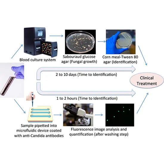 Culture Aerobic Paired Blood (PBS) Rapid | Test Price In Delhi, India ...