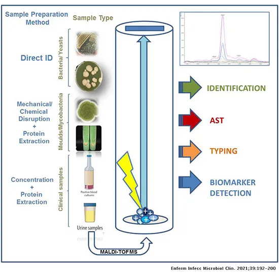 MALDI TOF: MS Fungal Identification Test Cost in Delhi | GDIC