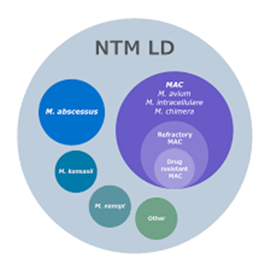 Culture Mycobacterium Atypical Non-Tuberculous Mycobacterium-NTM Test ...