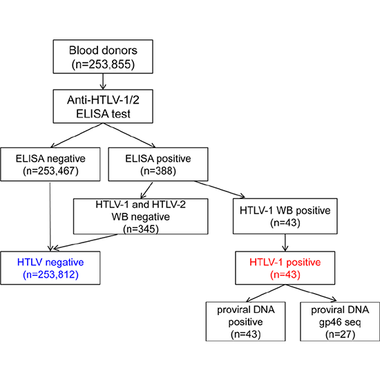 HTLV 1&2 Antibody Confirmation | Test Price In Delhi, India | Ganesh ...