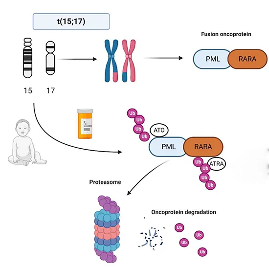 PML RARA T(15;17)(q22;q12) Gene Rearrangement Quantitative PCR Test | GDIC