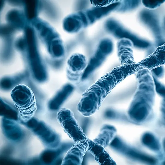 Chromosome Analysis, Cord Blood | Test Price In Delhi, India | Ganesh ...