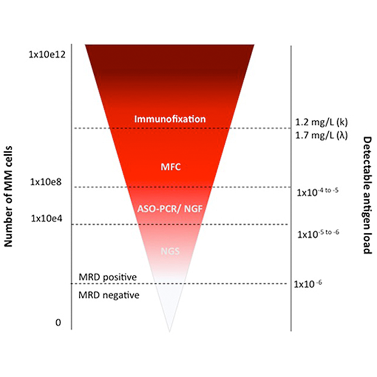 Minimal Residual Disease (MRD) Monitoring for Multiple Myeloma Test | GDIC