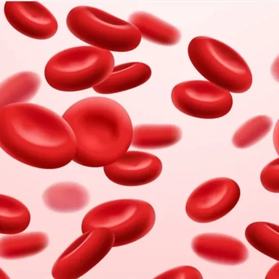 Anaemia Panel 2 | Test Price In Delhi | Cost Near Me, India | Ganesh ...