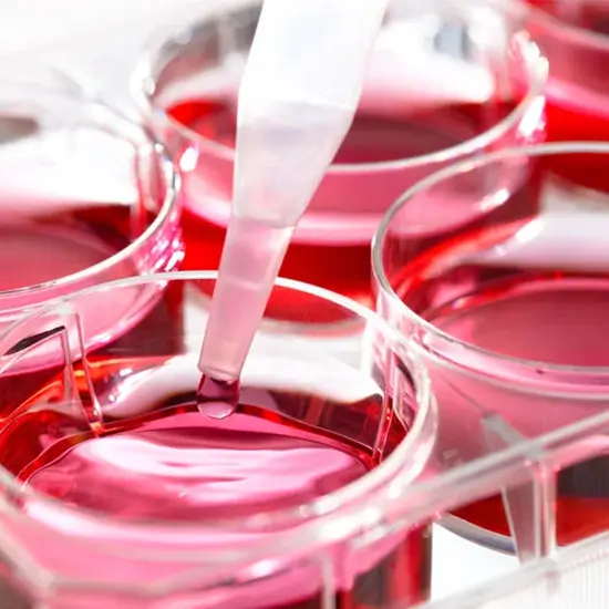 Amylase, Isoenzymes | Test Price In Delhi | Cost Near Me, India ...