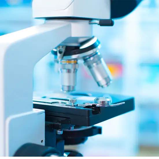 Culture, Aerobic (OT Swabs) | Test Price In Delhi | Cost Near Me, India ...