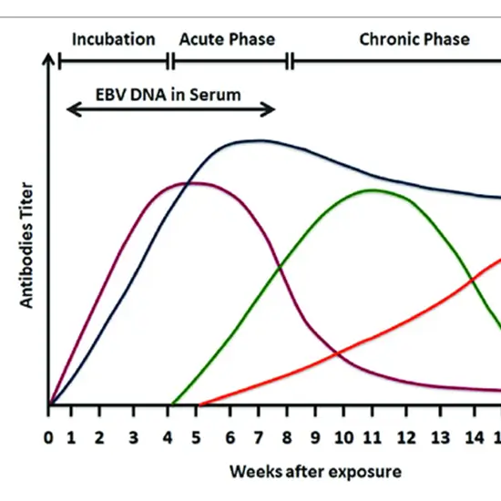Epstein Barr Virus (VCA), IgM | Test Price In Delhi | Cost Near Me ...