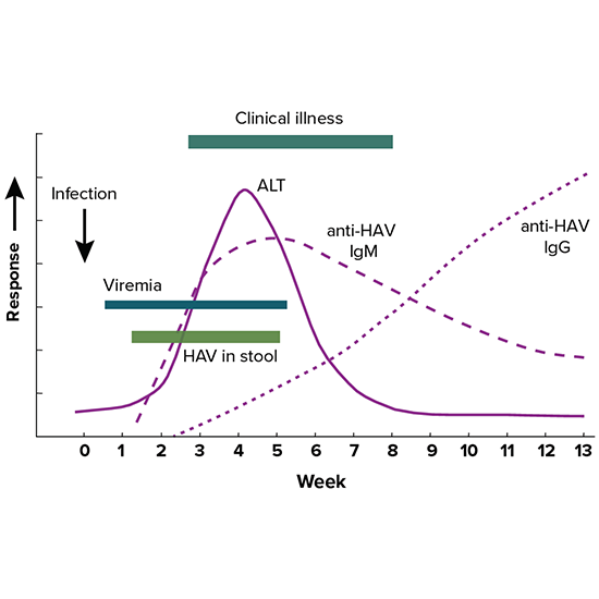 Hepatitis A Virus (HAV), IgM Quantitative | Test Price In Delhi, India ...