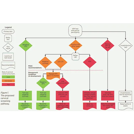 Cervical Screening (LBC with HPV Detection) Test in Delhi NCR, India | GDIC