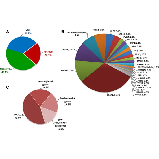 Hereditary Cancer Panel (94 Genes) Test in Delhi NCR, India | GDIC