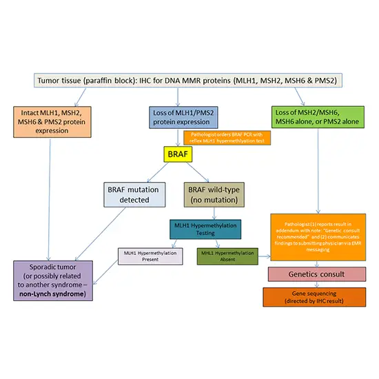 MSH2 Gene Sequencing - Colorectal Cancer Test in Delhi | GDIC