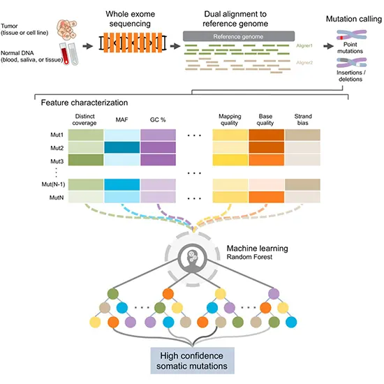 Somatic Mutation Panel (48 Genes) Test in Delhi NCR, India | GDIC