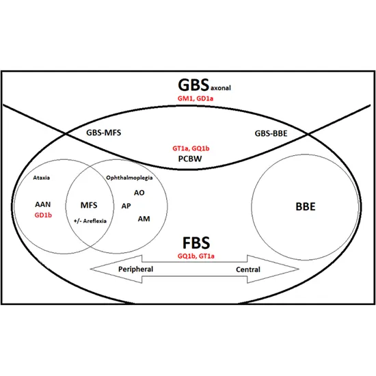 Types Of Nephrology Tests | Price List for Nephrology Test in India ...