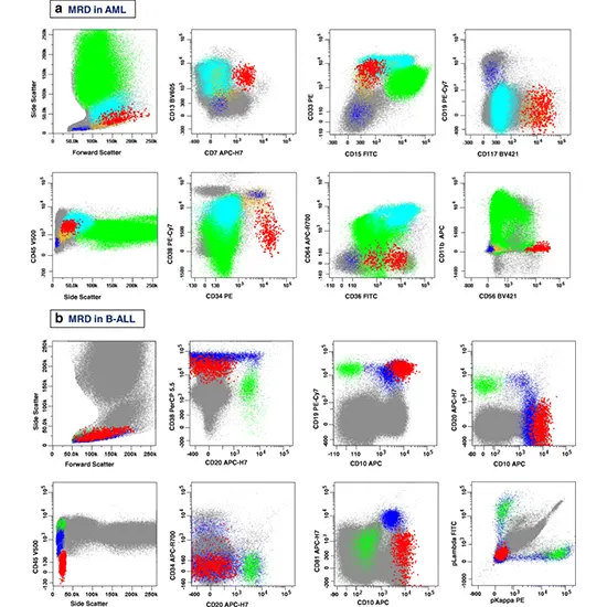 Acute Leukemia MRD Panel Test in Delhi NCR, India | GDIC