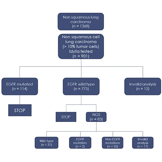 Acute Leukemia Smart Reflex Panel Test in Delhi NCR, India | GDIC