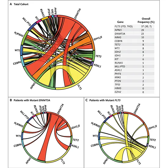 Acute Myeloid Leukemia (AML) Cytogenetics Panel Test in Delhi | GDIC