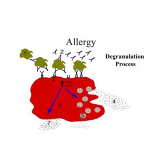 Allergy Inhalation Screening Panel for Indian Population Test | GDIC