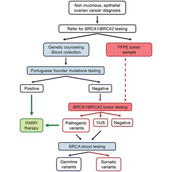BRCA1 & BRCA2 Somatic Mutation Analysis Test in Delhi NCR | GDIC