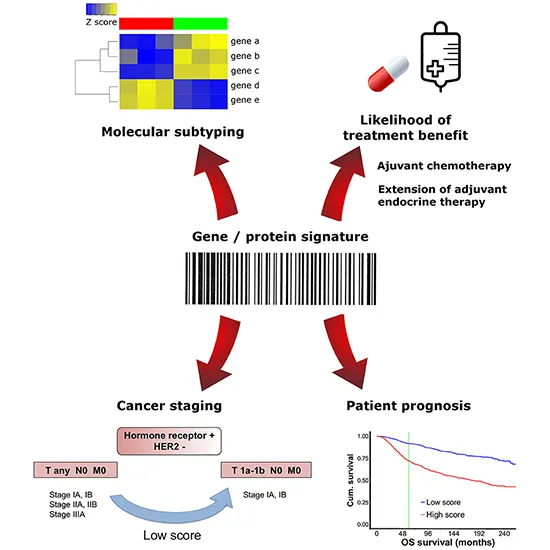 Breast Cancer Prognosis Panel (1B) Test in Delhi | GDIC