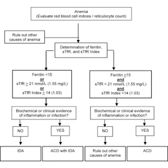 Book Anemia Assessment Profile | Test Price In Delhi, India | Ganesh ...