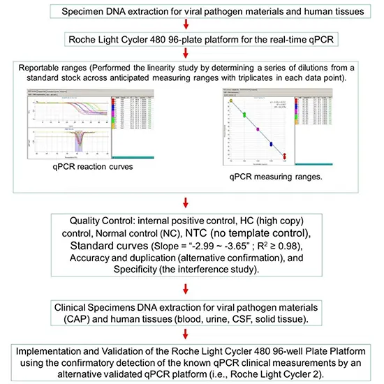 Cytomegalovirus (CMV) DNA Quantitative Real-Time PCR Test in Delhi | GDIC