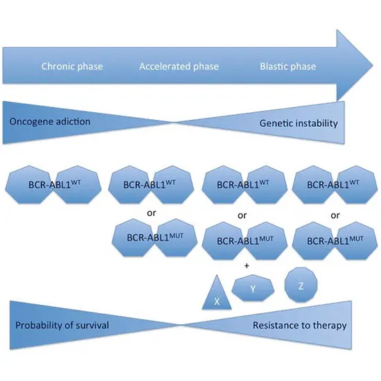 CML Quest Imatinib Resistance Mutation Analysis (IRMA) Test in Delhi | GDIC
