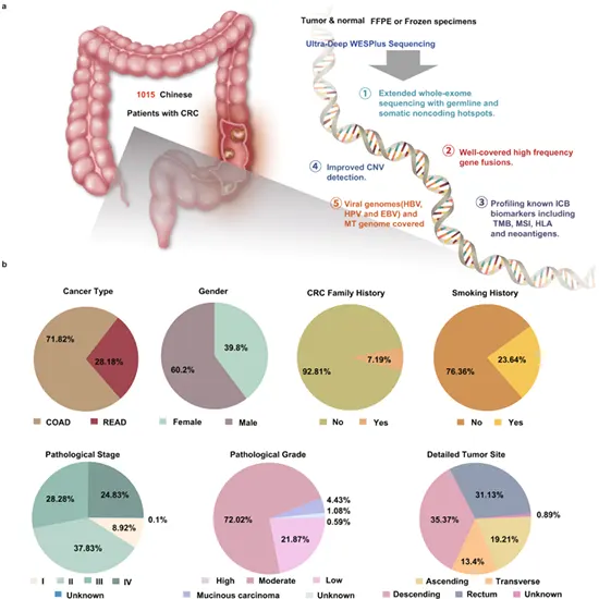 Book Comprehensive Colorectal Panel | Test Price In Delhi, India ...