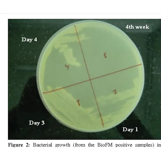 Types Of Nephrology Tests | Price List for Nephrology Test in India ...