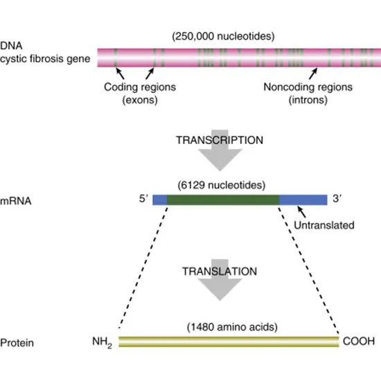 Cystic Fibrosis Delta F508 Gene Mutation Test Near me in Delhi | Test ...