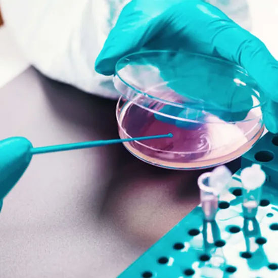 Ear Swab Culture And Sensitivity | Test Price In Delhi | Cost Near Me ...