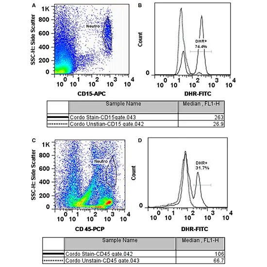 DHR Test for CGD (Neutrophil Oxidative Burst Assay) in Delhi, India | GDIC