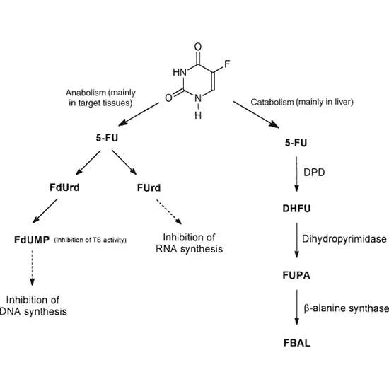 DPD/DPYD Mutation Analysis | Test Price In Delhi | Cost Near Me, India ...